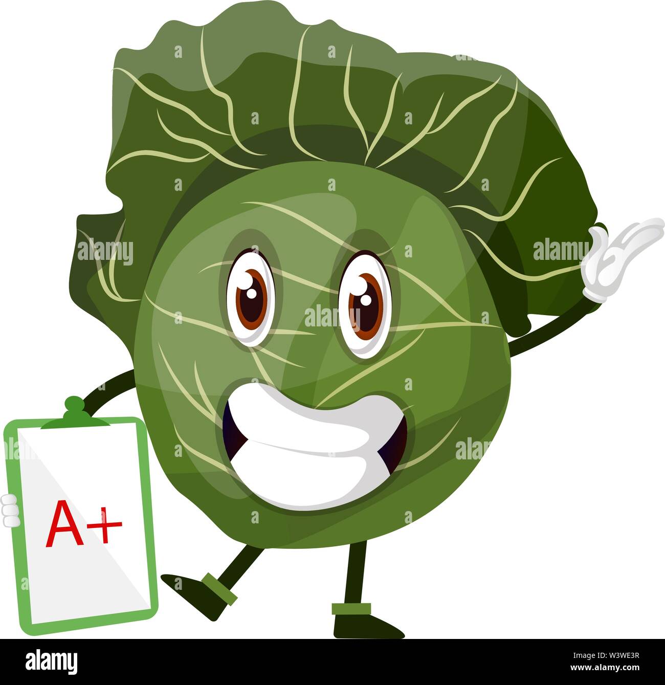 Cabbage is holding a+ paper, illustration, vector on white background ...
