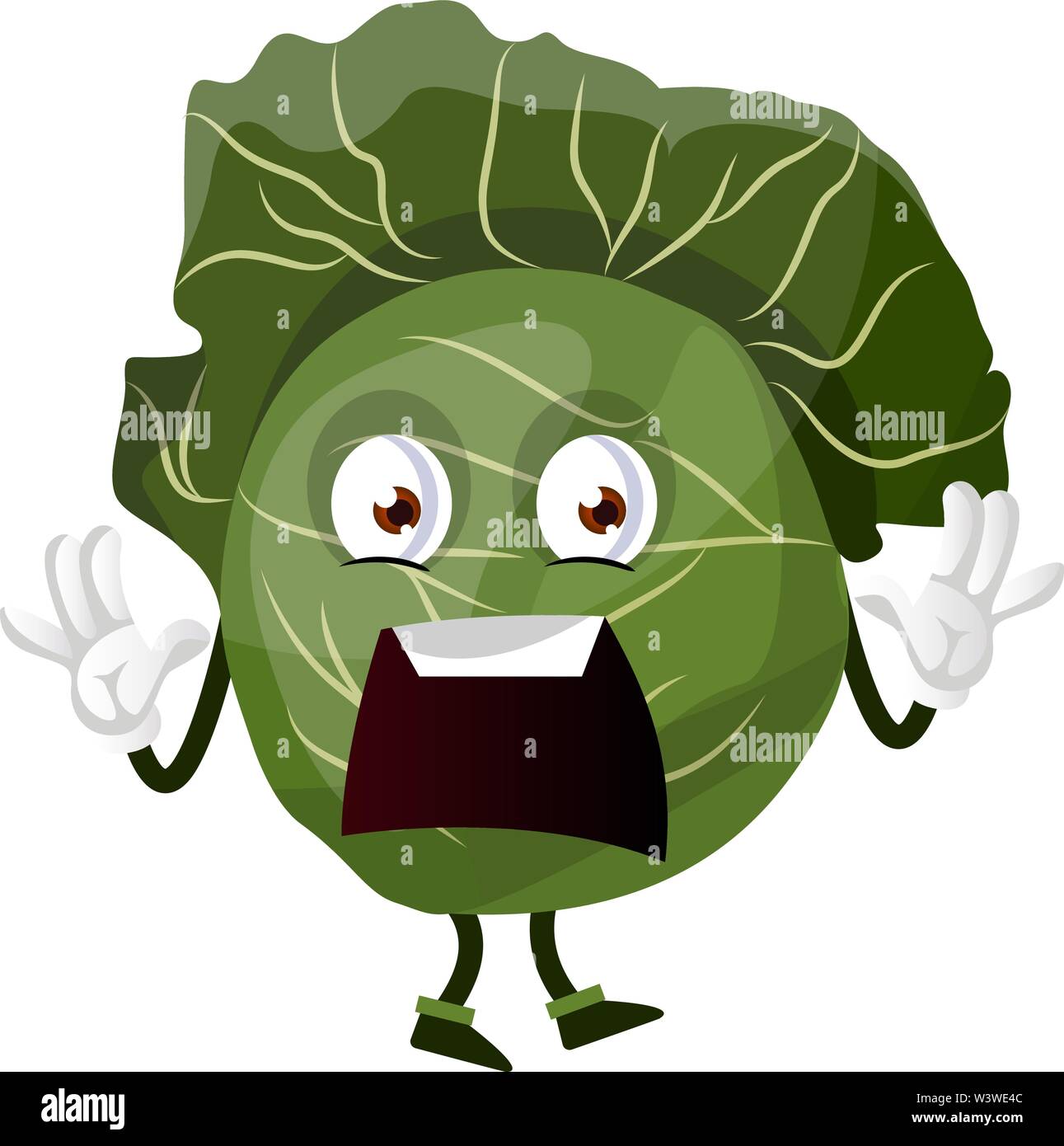 Head cabbage vector vectors hi-res stock photography and images - Alamy