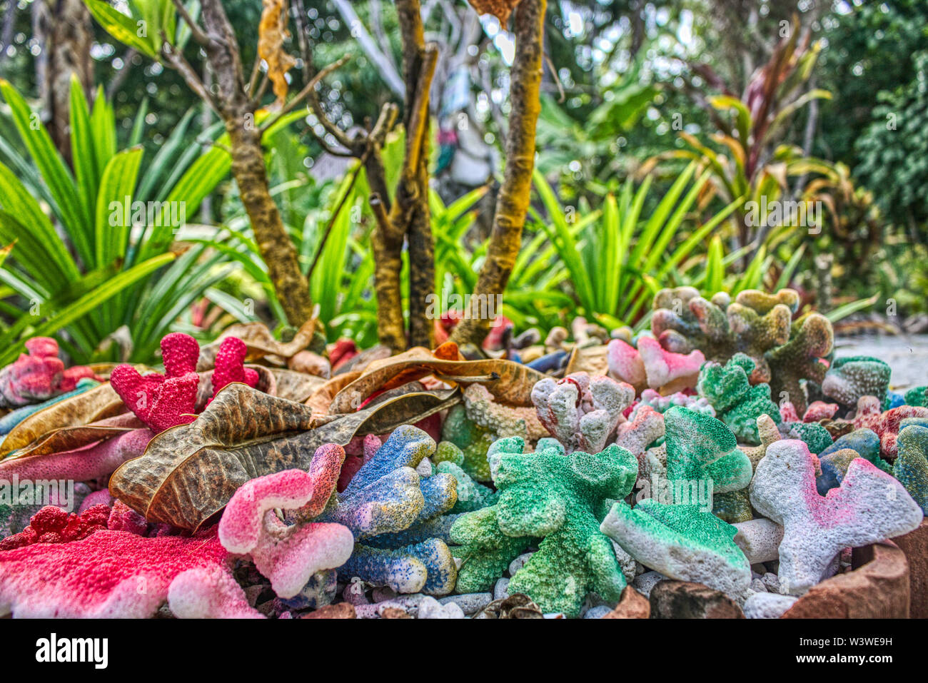 This unique photo shows colorful shells and corals as a garden ...