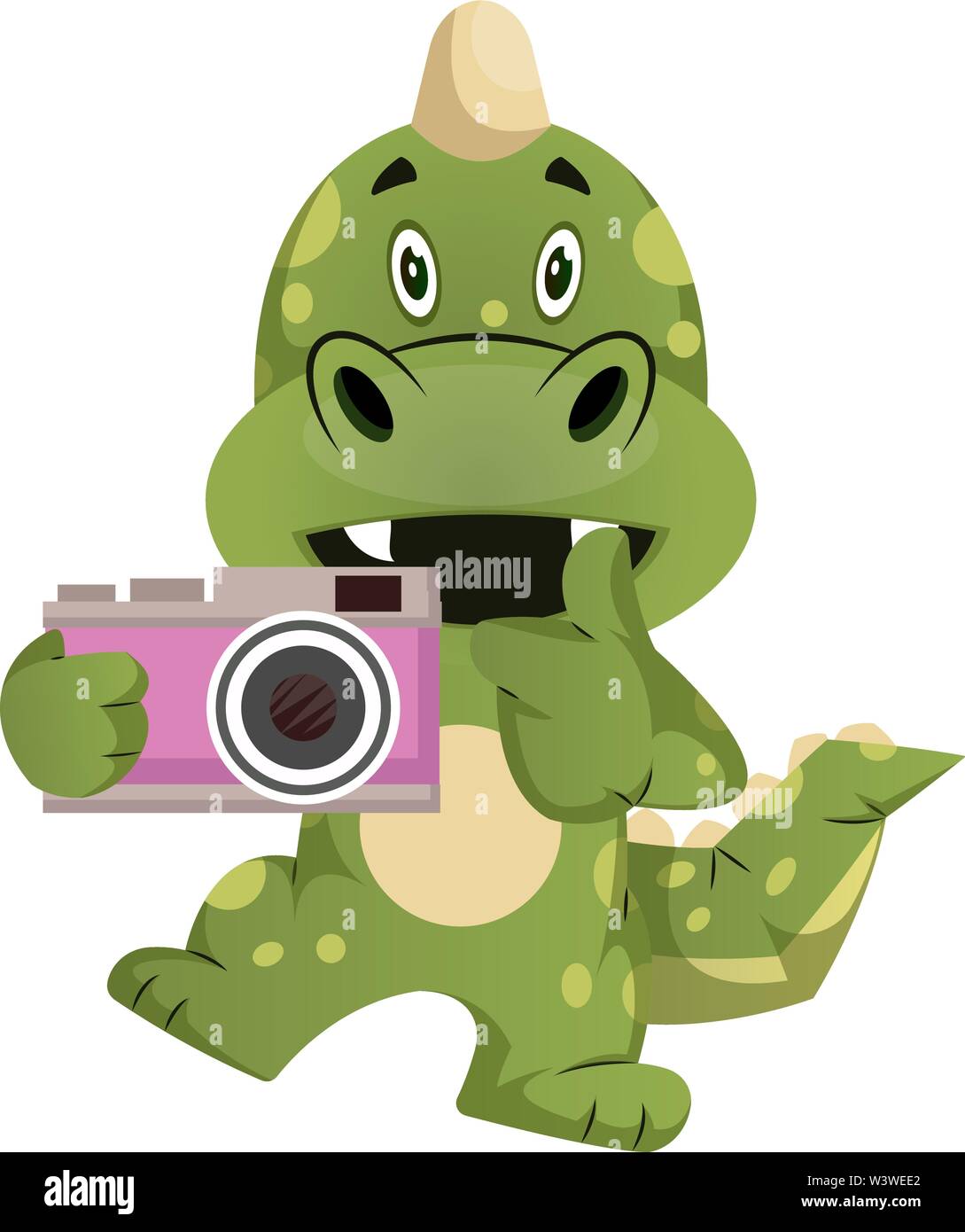 Green dragon is holding camera, illustration, vector on white ...