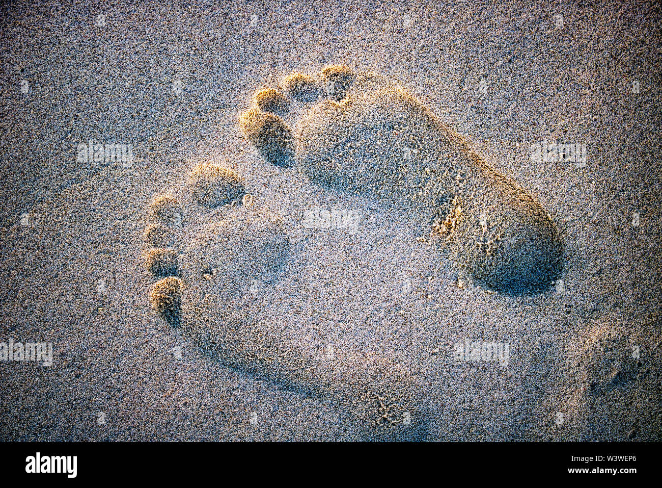 This unique photo shows two footprints in the sand on an island of the ...