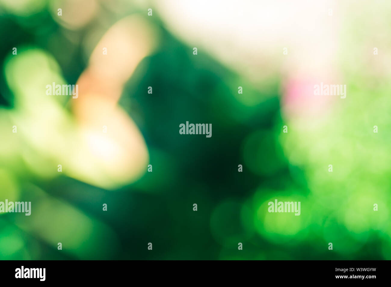 Abstract blurred natural green light beautiful background. Design ...