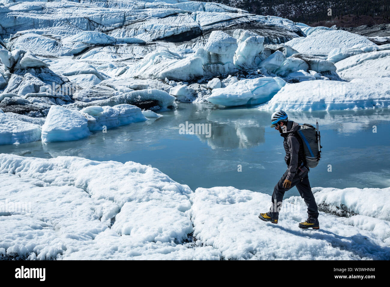Glacier guide walking across the white ice of the Matanuska Glacier ...