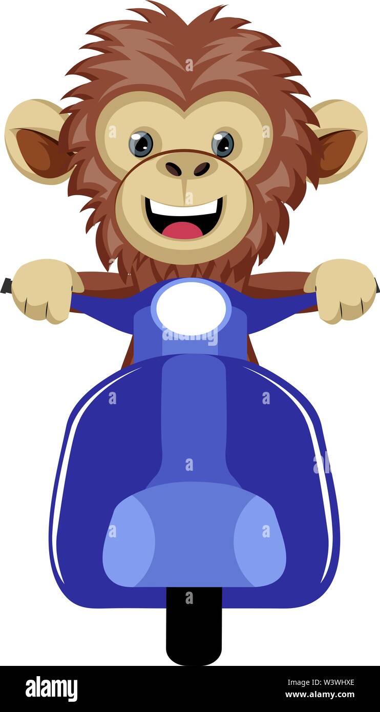 Monkey On Scooter High Resolution Stock Photography and Images - Alamy