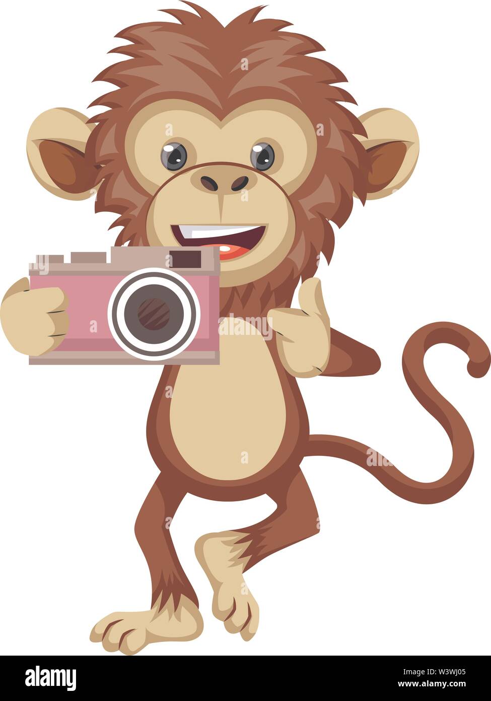 Monkey with camera, illustration, vector on white background Stock ...