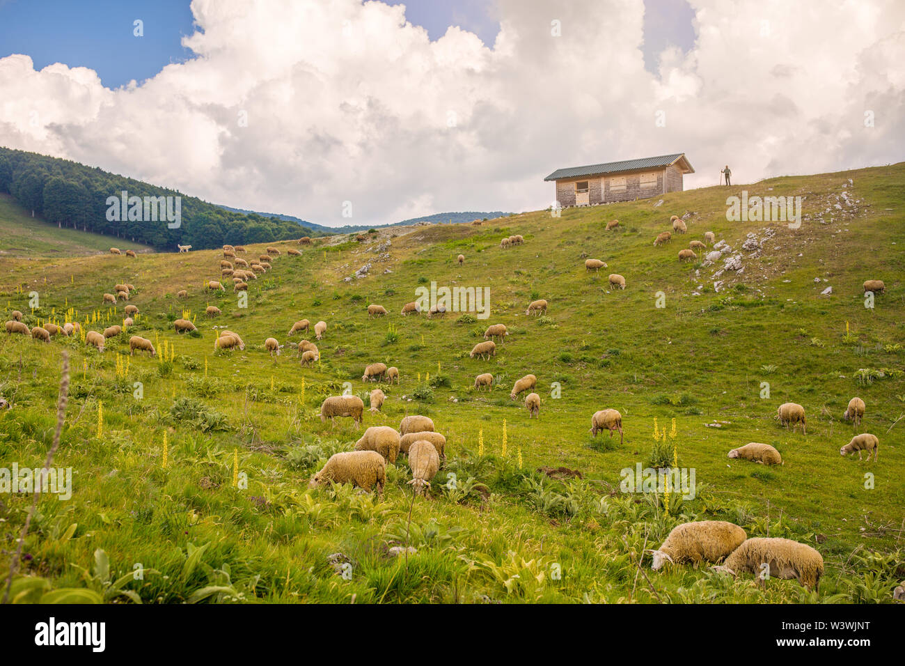 Landforms of italy hi-res stock photography and images - Alamy
