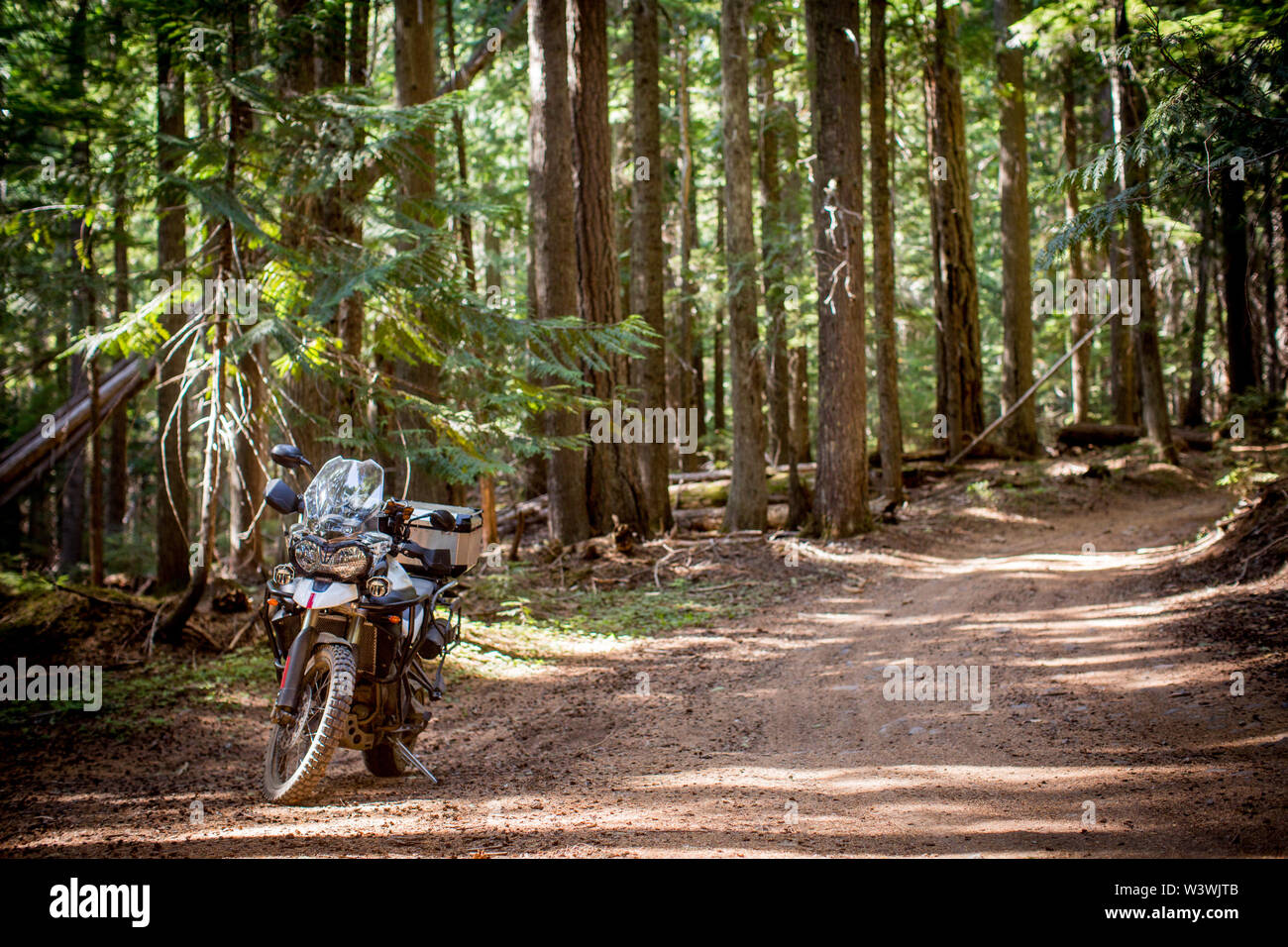 Motolife hi-res stock photography and images - Alamy