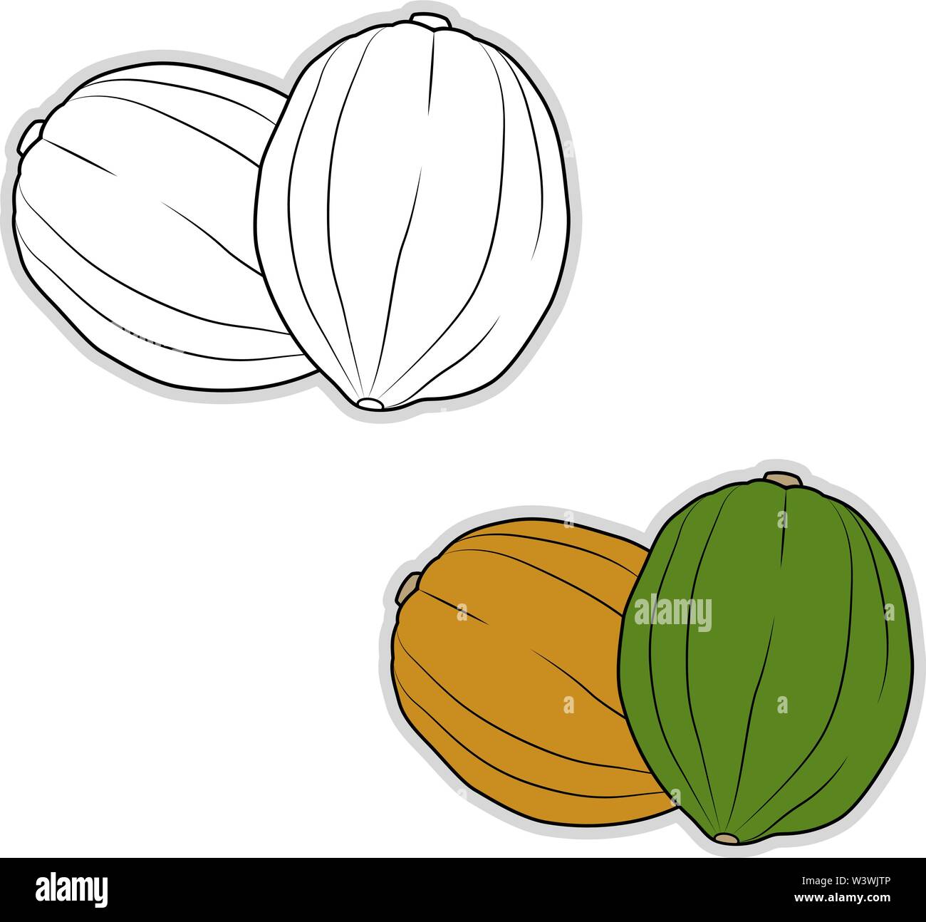 Acorn squash Stock Vector Images - Alamy