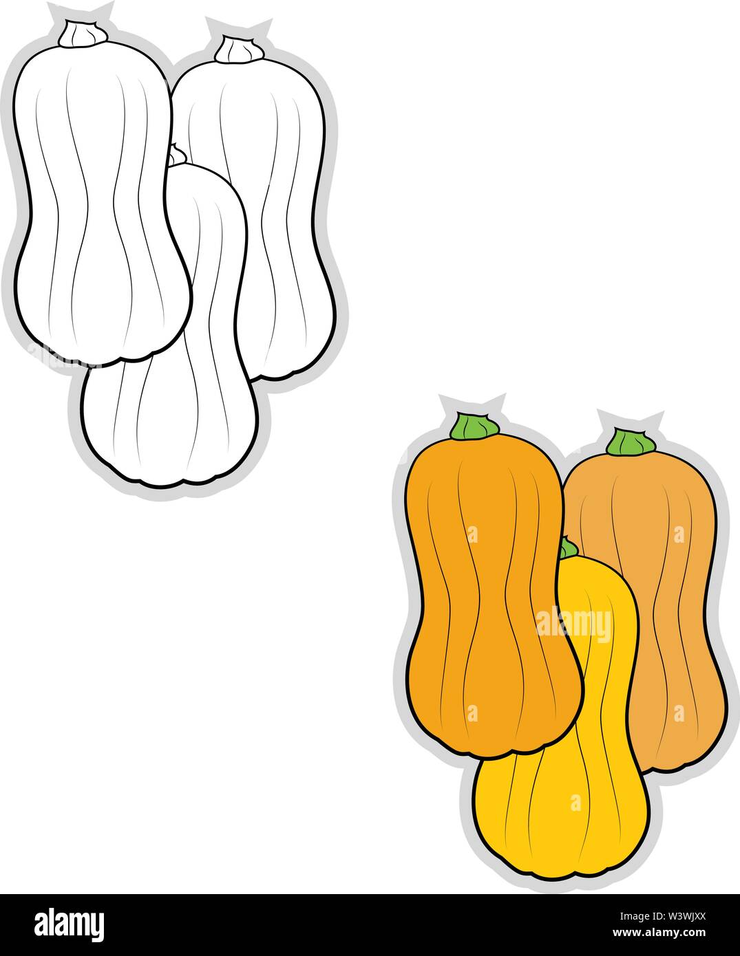Butternut Squash Outline