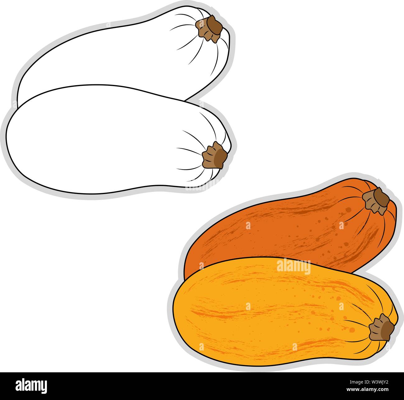 Cucurbita illustration hi-res stock photography and images - Alamy