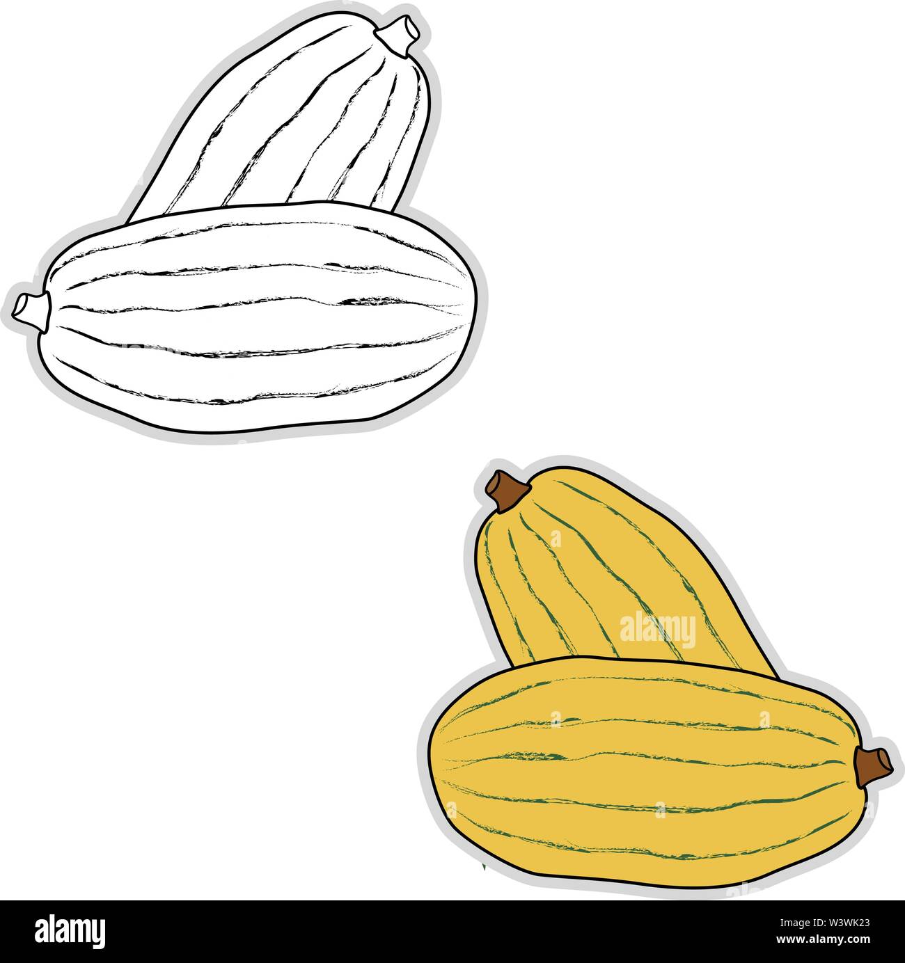 Delicata Stock Vector Images - Alamy