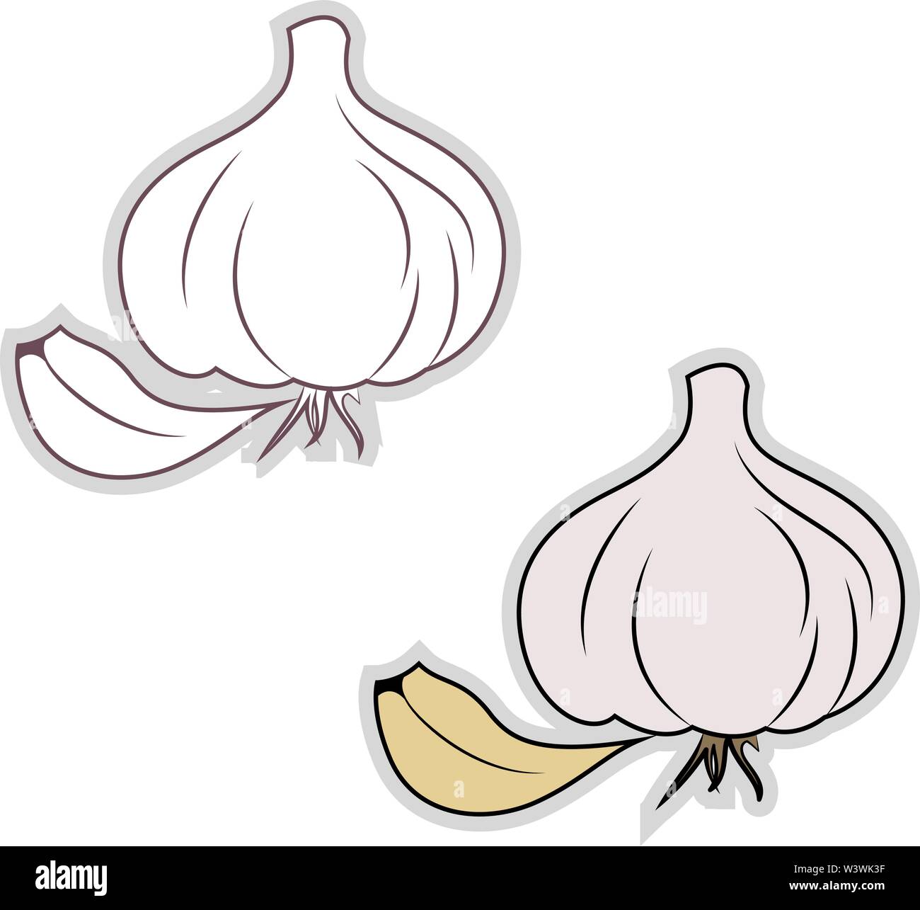 Fresh garlic, illustration, vector on white background Stock Vector ...