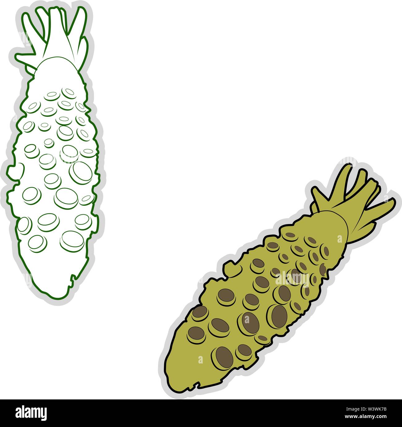 Fresh wasabi, illustration, vector on white background Stock Vector ...