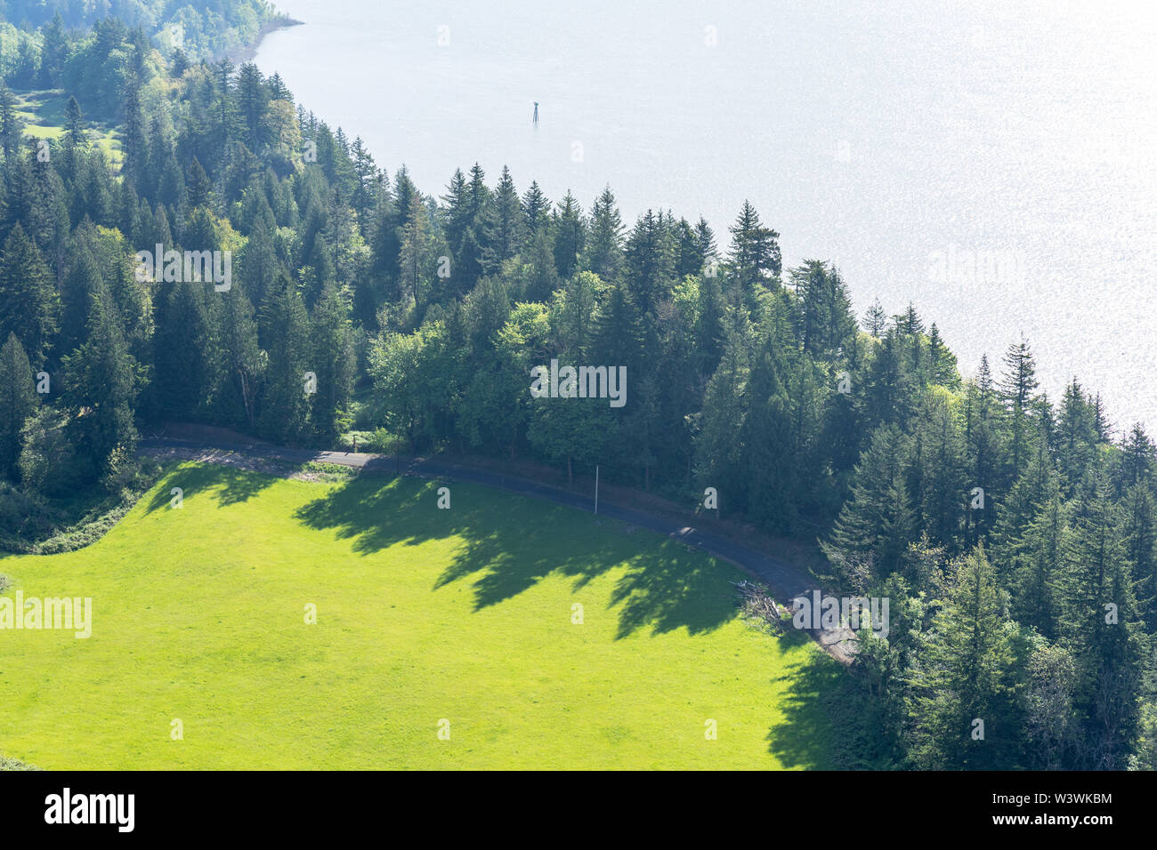Forest separating Columbia river from the perfectly green lawn Stock ...