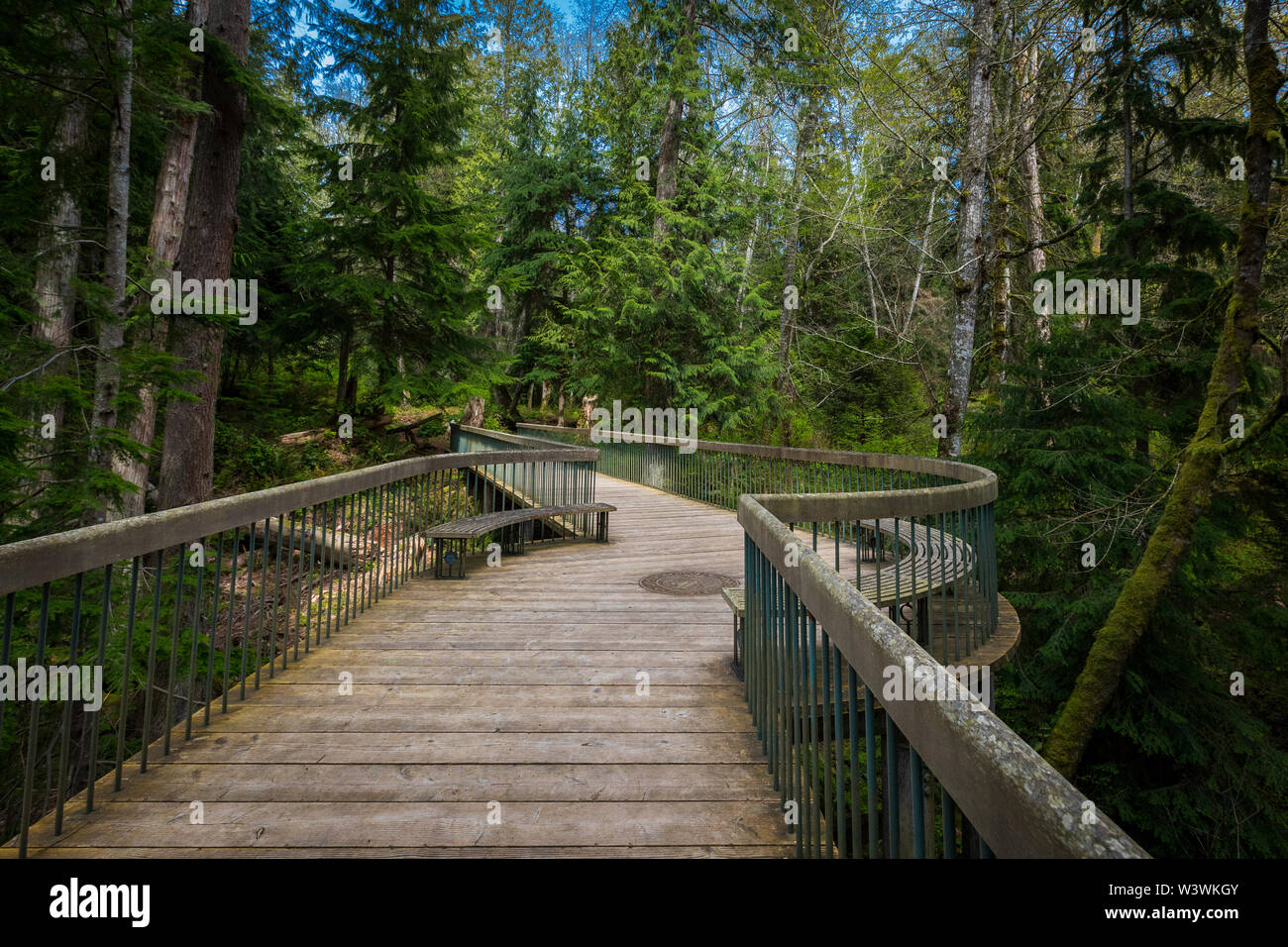 Wooden bridge in the forest Stock Photo - Alamy