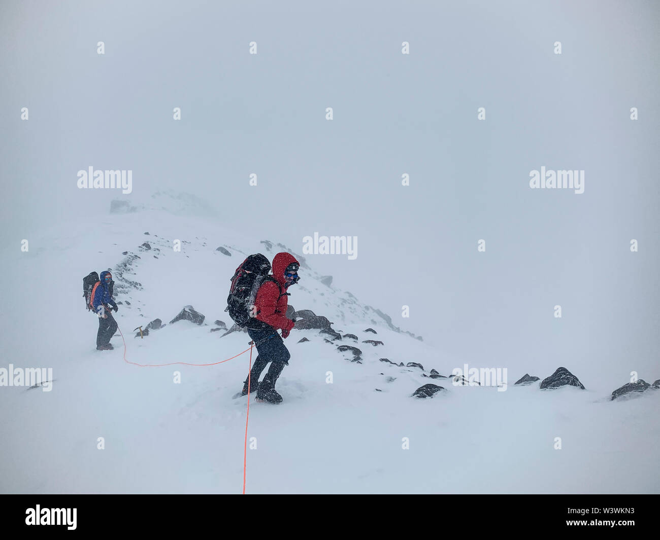 Climbers Brave the Elements as They Descend to Camp Muir on Mt Rainier ...