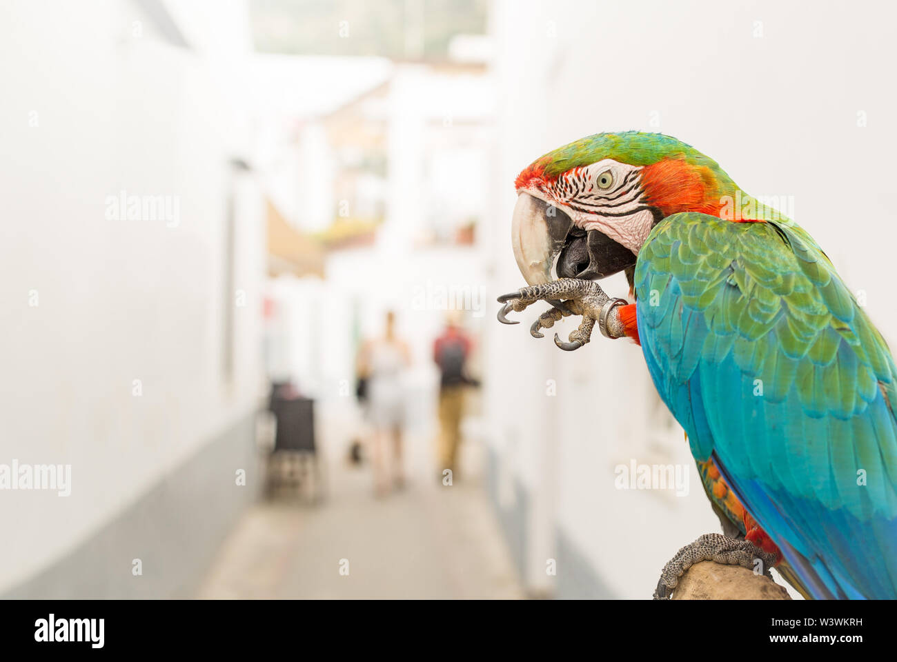 Capri lifestyle hi-res stock photography and images - Alamy