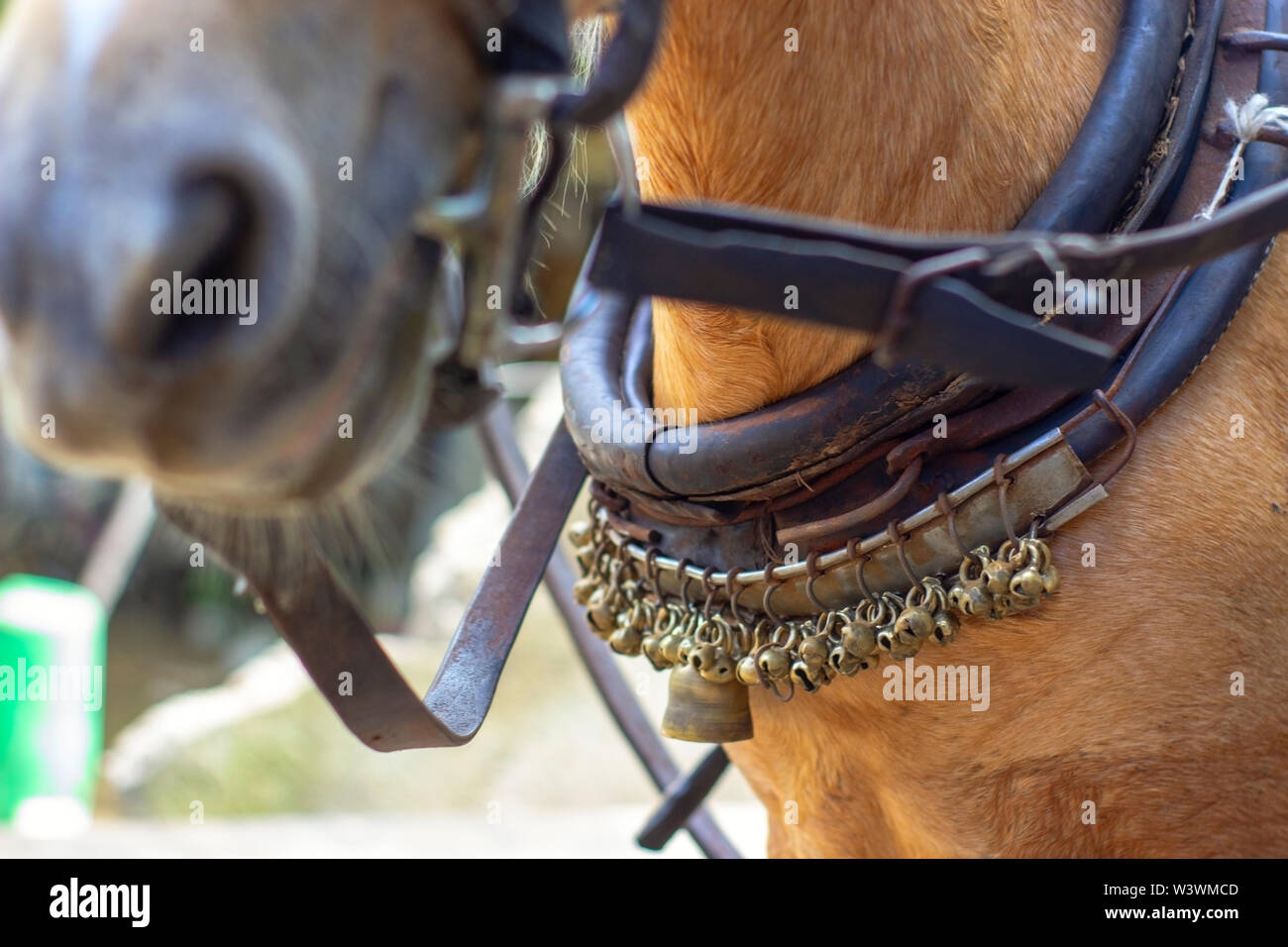 Sleigh bells harness hi-res stock photography and images - Alamy