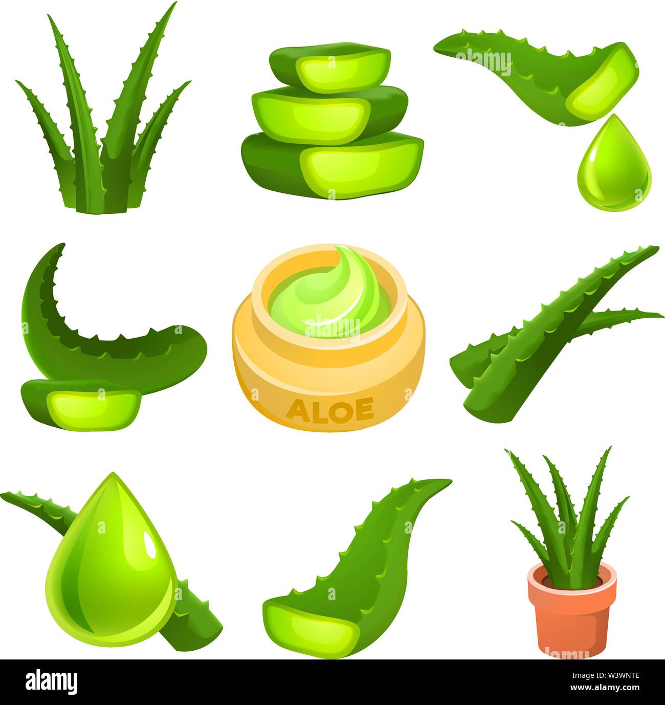 Aloe icons set. Cartoon set of aloe vector icons for web design Stock ...