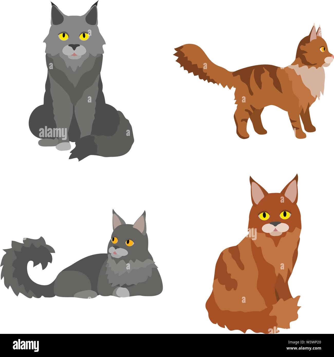 Maine coon icons set. Flat set of maine coon vector icons for web ...