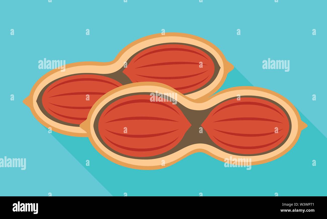 Half peanut shell icon. Flat illustration of half peanut shell vector ...
