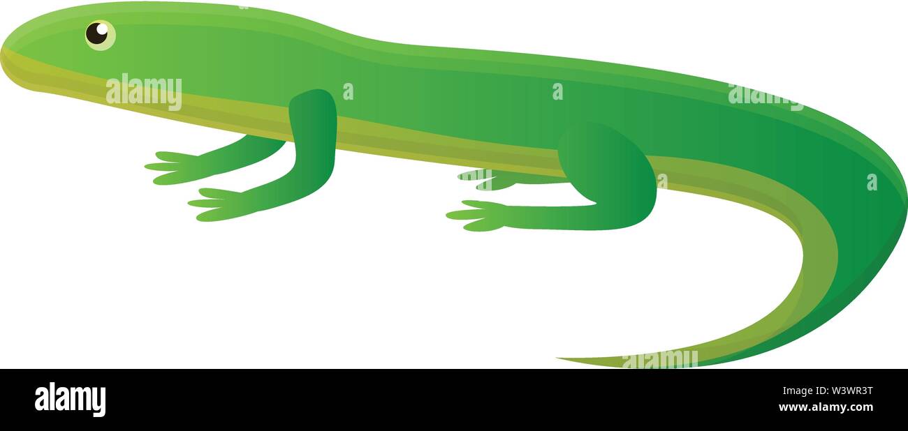 Exotic lizard icon. Cartoon of exotic lizard vector icon for web design ...