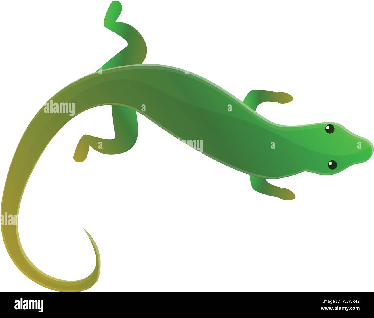 Top view lizard icon. Cartoon of top view lizard vector icon for web ...