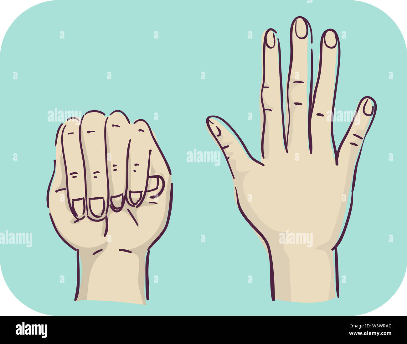 Illustration of Hands with Disproportionately Long Fingers Stock Photo ...