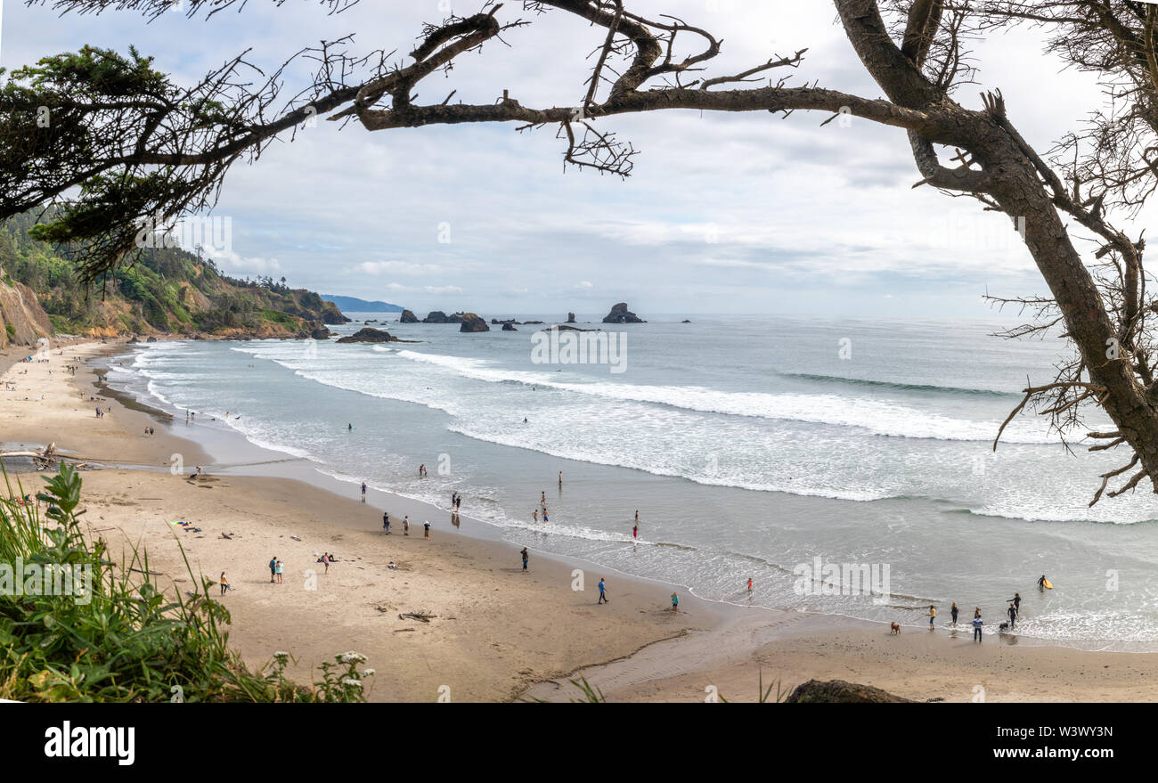 Chapman state park hi-res stock photography and images - Alamy