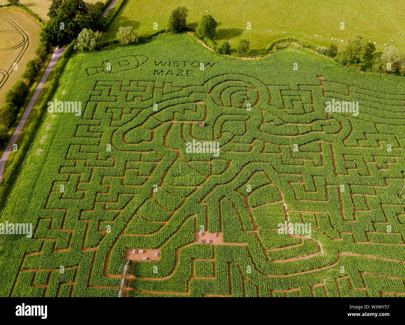 Wistow Maze in Wistow, Leicestershire, which this year has been ...
