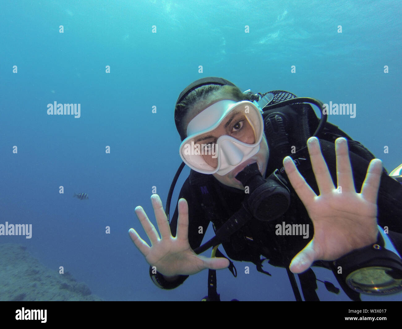 Underwater camera scuba female hi-res stock photography and images - Alamy