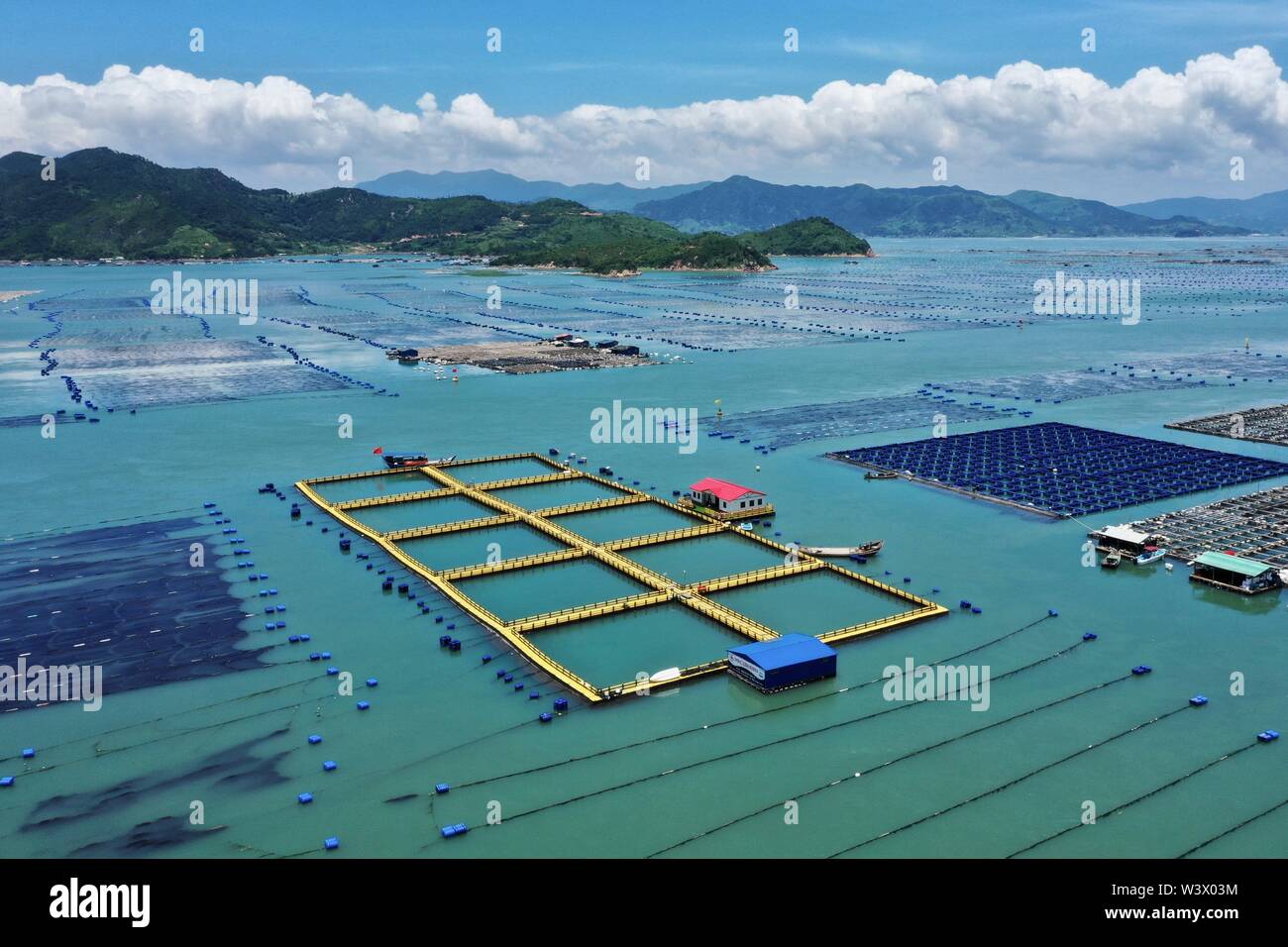 Breeding raft hi-res stock photography and images - Alamy