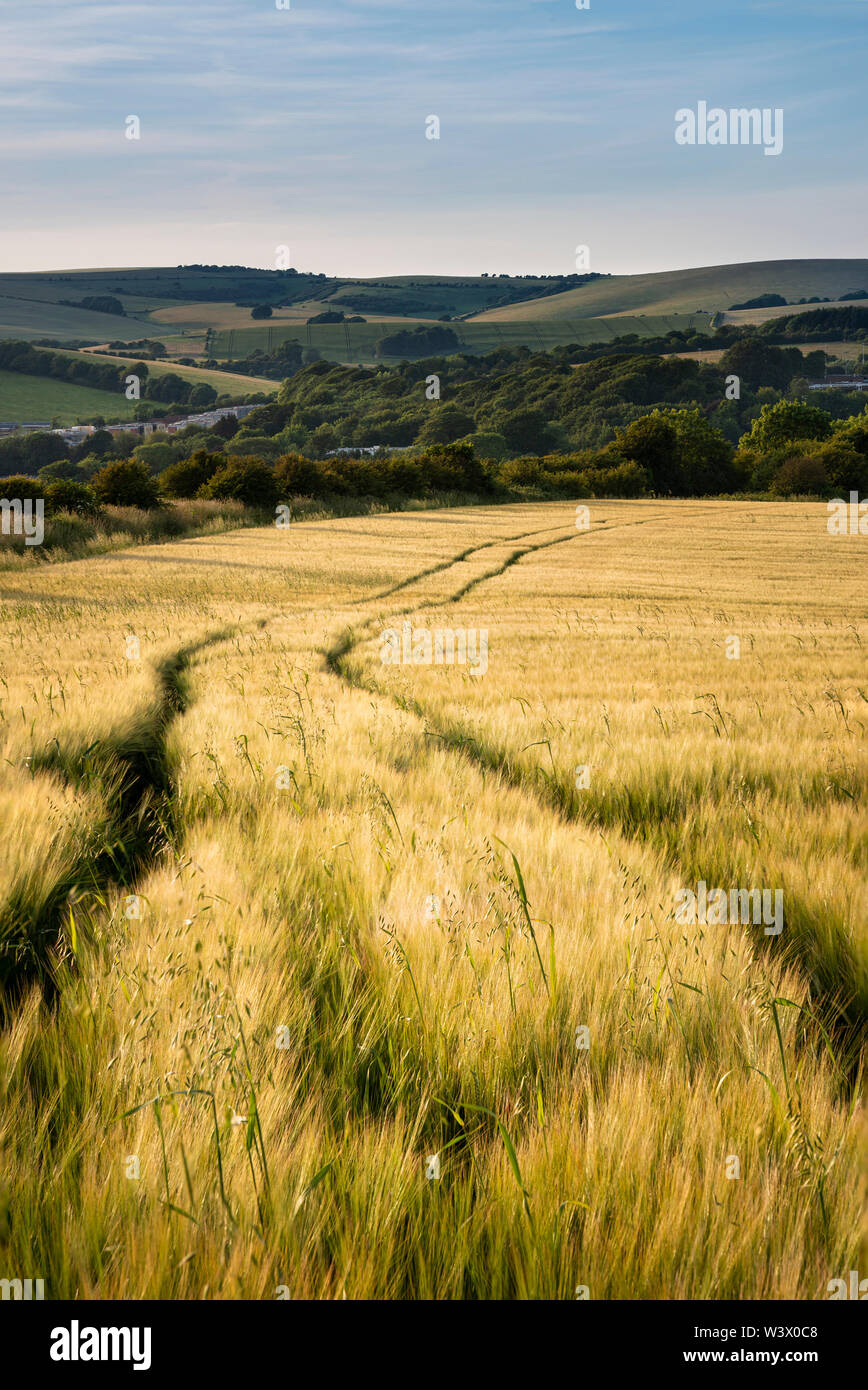 Beautiful Summer landscape of agricultural fields in English ...