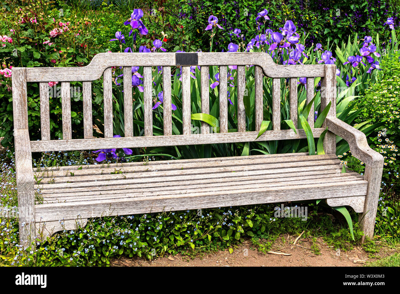 Roses and a bench hi-res stock photography and images - Alamy
