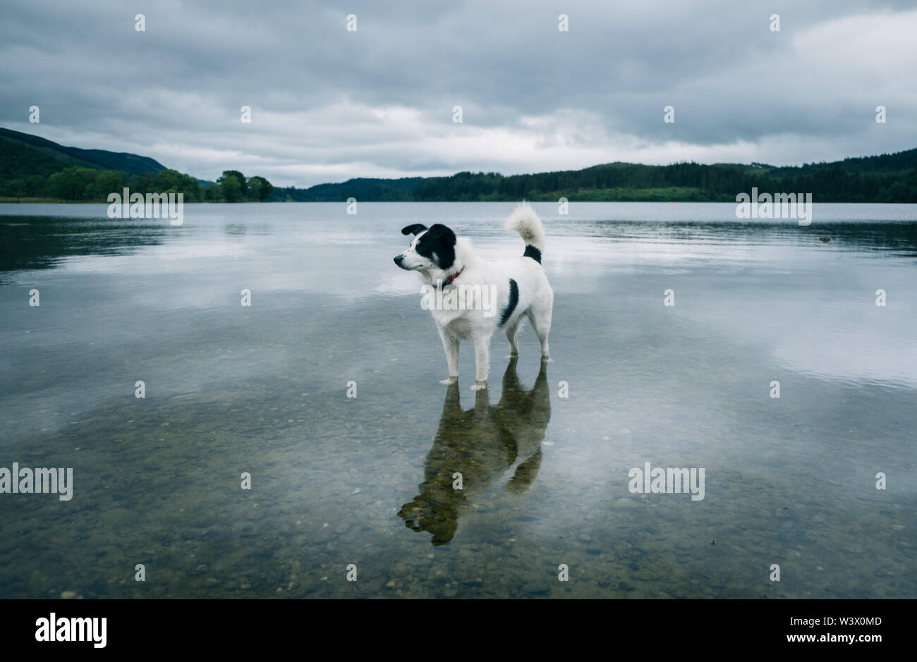 Loch ard trossachs hi-res stock photography and images - Alamy