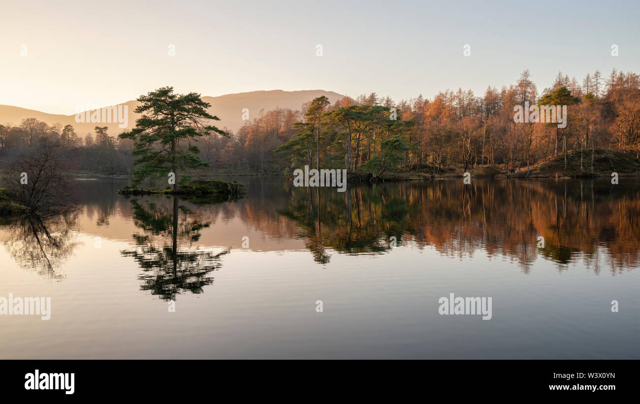 Stunning landscape image of Tarn Hows in Lake District during beautiful ...