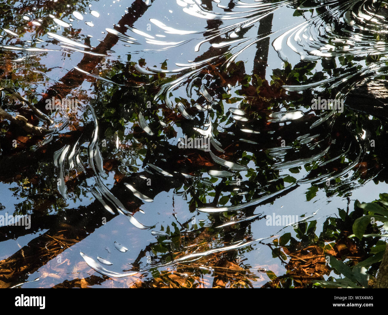 The white colors in the picture were created by the water in the stream ...