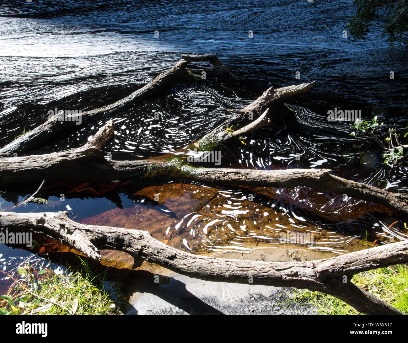 The white colors in the picture were created by the water in the stream ...