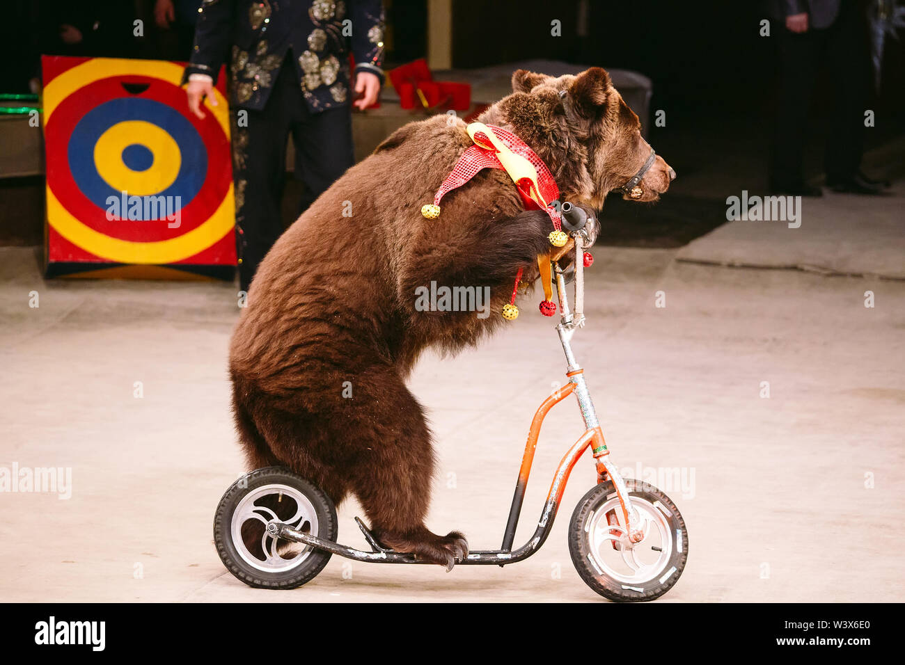 Russian Circus Bear High Resolution Stock Photography and Images - Alamy