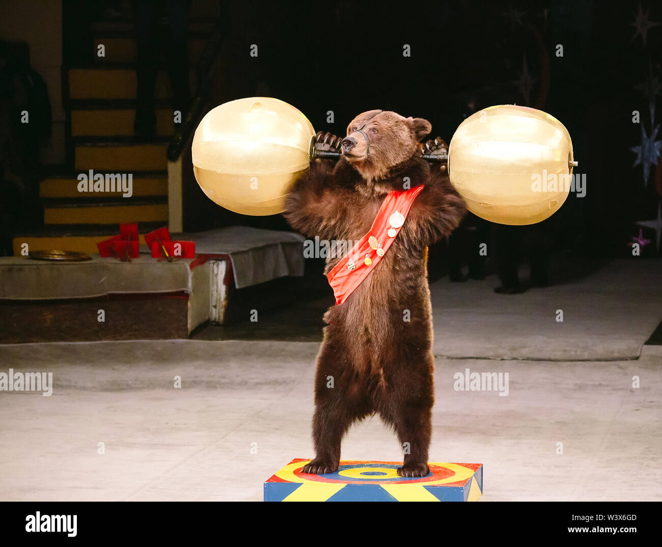 Russian circus bear hi-res stock photography and images - Alamy