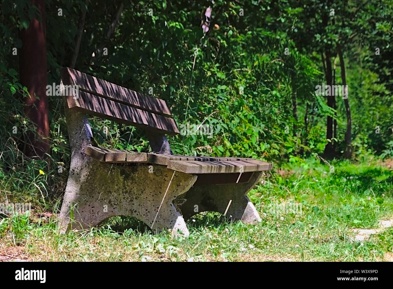 Forest rest area Stock Photo - Alamy