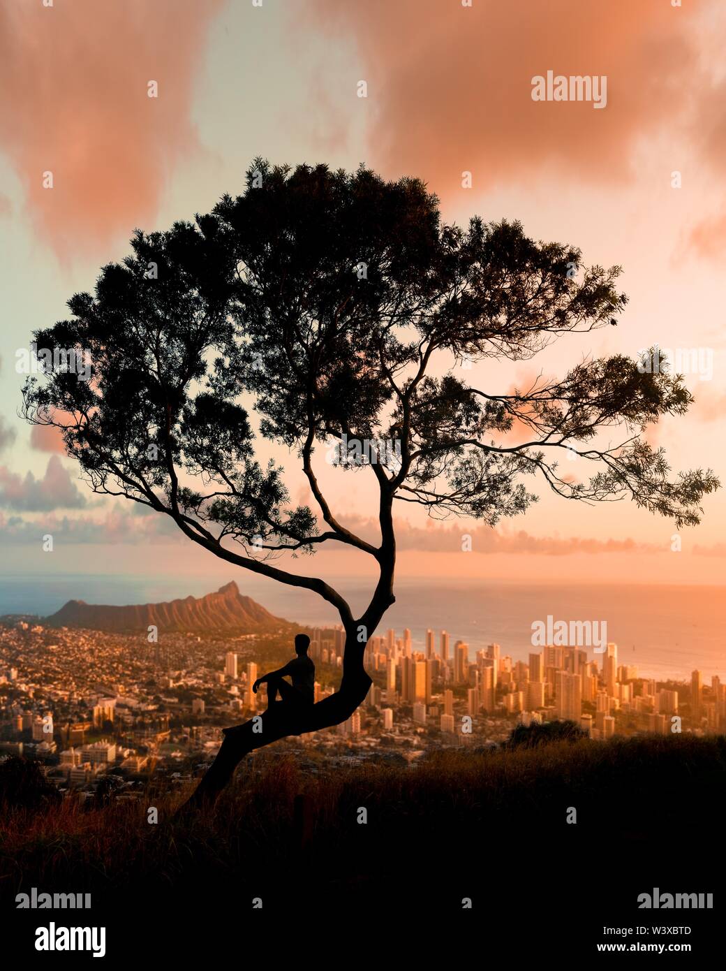 Silhouette of a male sitting on a thin tree and looking at the city ...