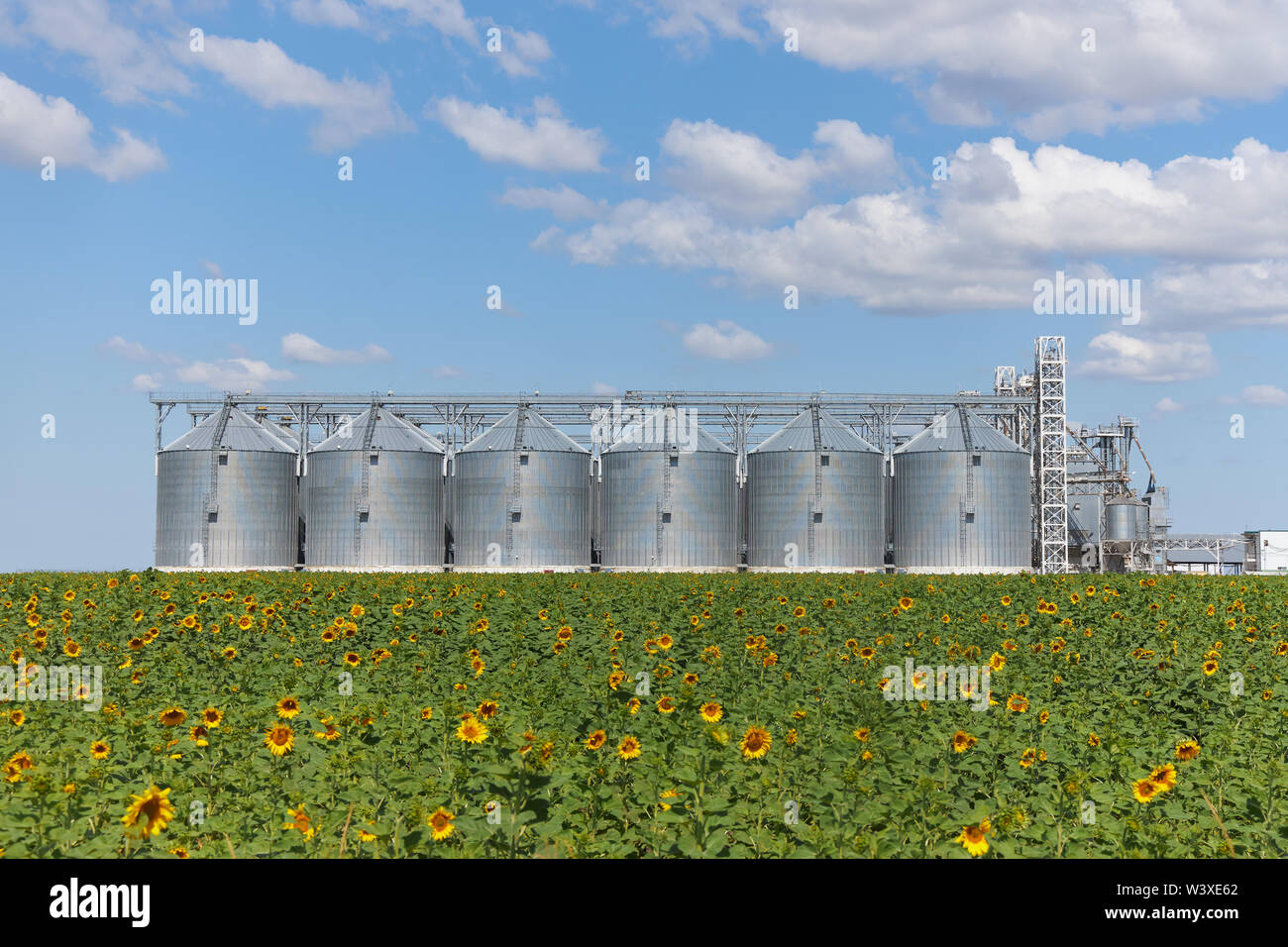 Grain elevator and wheat field hi-res stock photography and images - Alamy