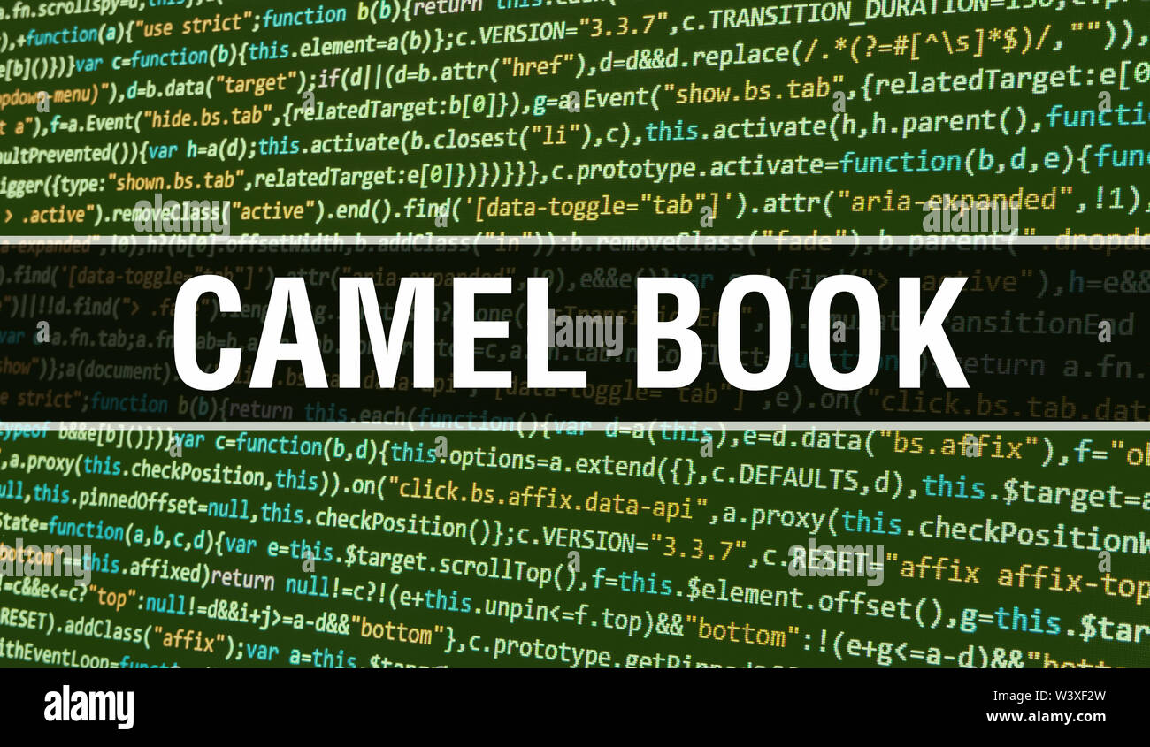 Camel book concept with Random Parts of Program Code. Camel book with ...