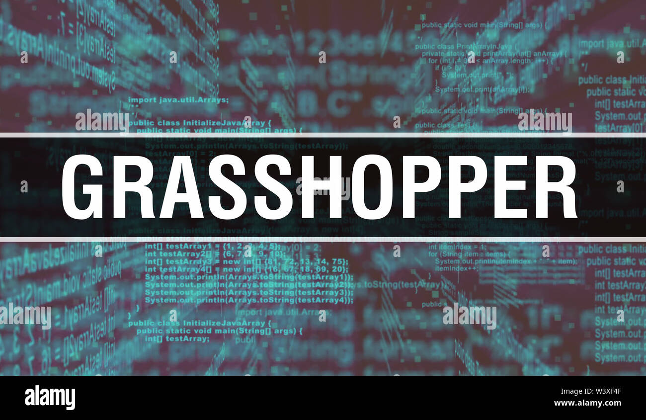 Grasshopper With Digital Java Code Text Grasshopper And Computer Software Coding Vector Concept
