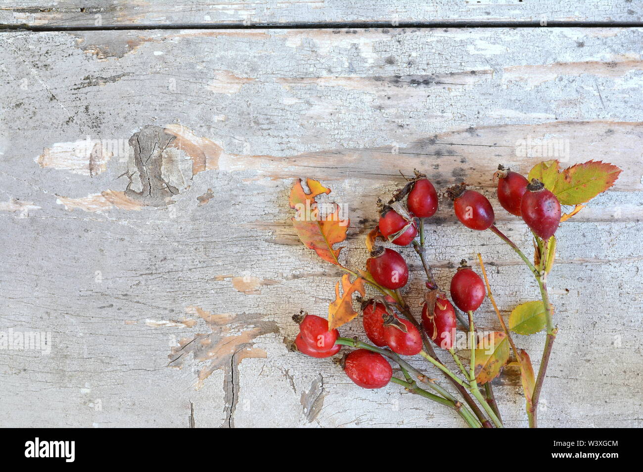 Autumn background with colorful fall leaves on rustic wooden table with ...