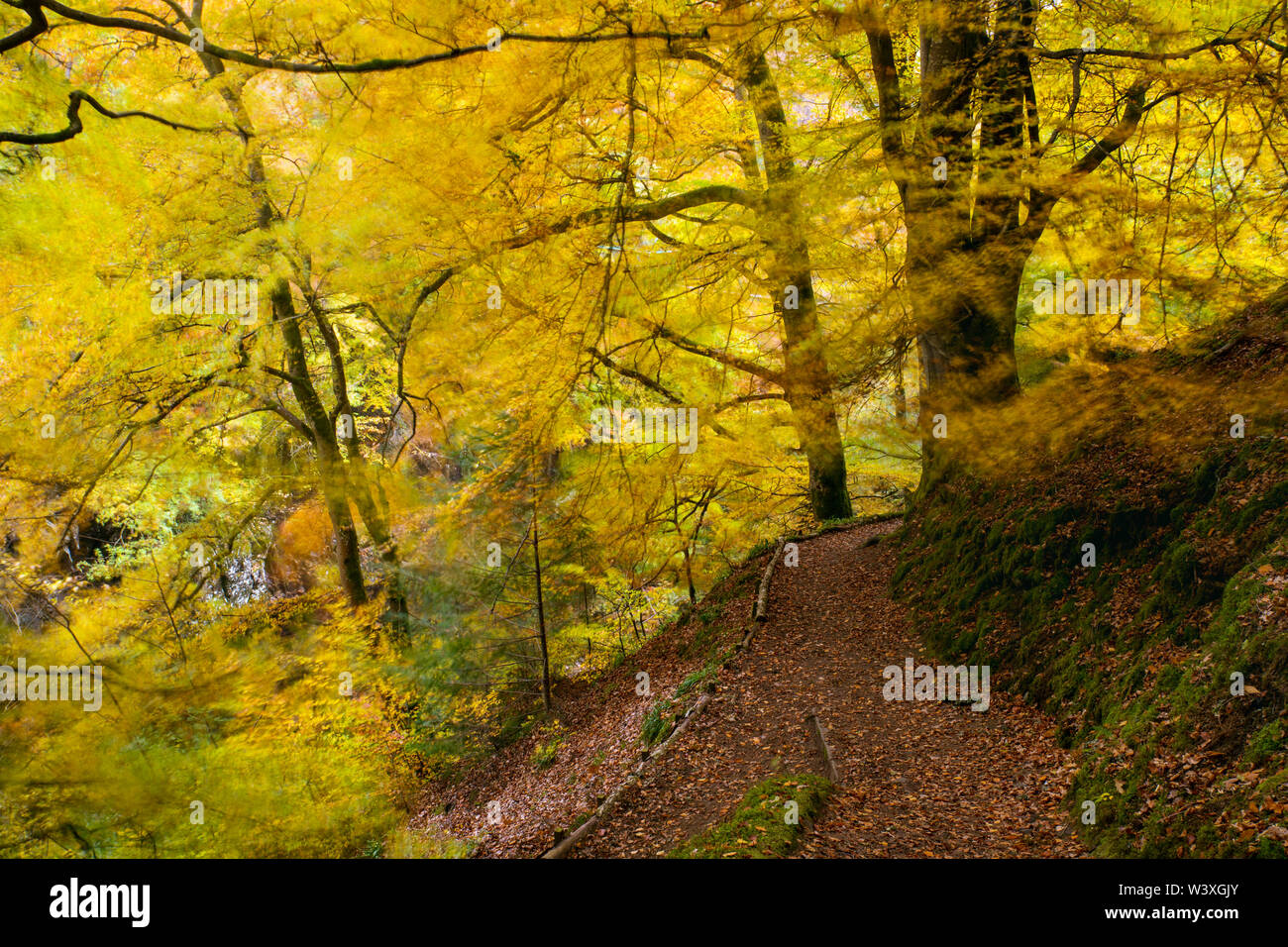 Pitlochry; Path Near Garry Bridge; Scotland; UK Stock Photo - Alamy