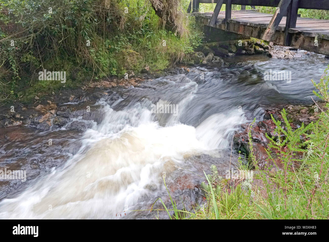 Stream flowing under a bridge Stock Photo - Alamy
