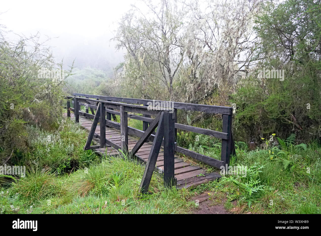 Wooden foot bridge Stock Photo - Alamy