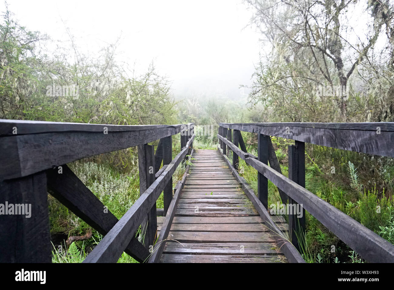 Wooden foot bridge Stock Photo - Alamy